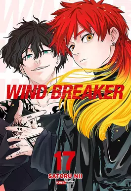 Wind Breaker 17