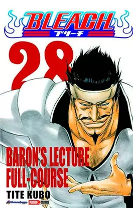 BLEACH N.28