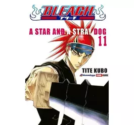 BLEACH N.11