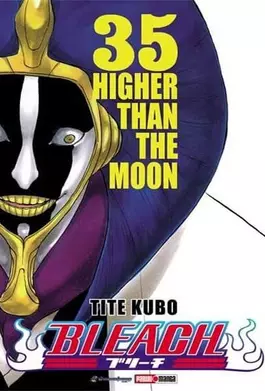 Bleach N.35