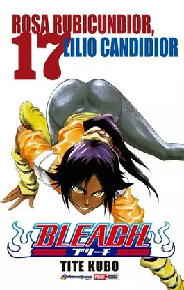 Bleach N.17